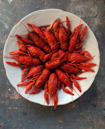 The Cajun Experience: Louisiana's Culture & Food Scene - Experience Curve